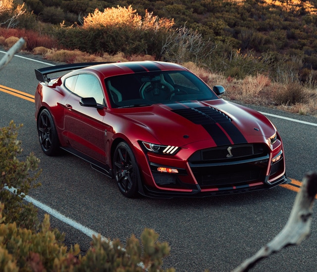 Ford Mustang Gt500 Shelby